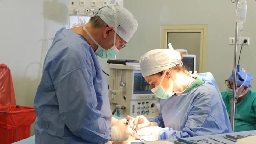 MEDICAL SECRETS – Distribution TVN S.A.